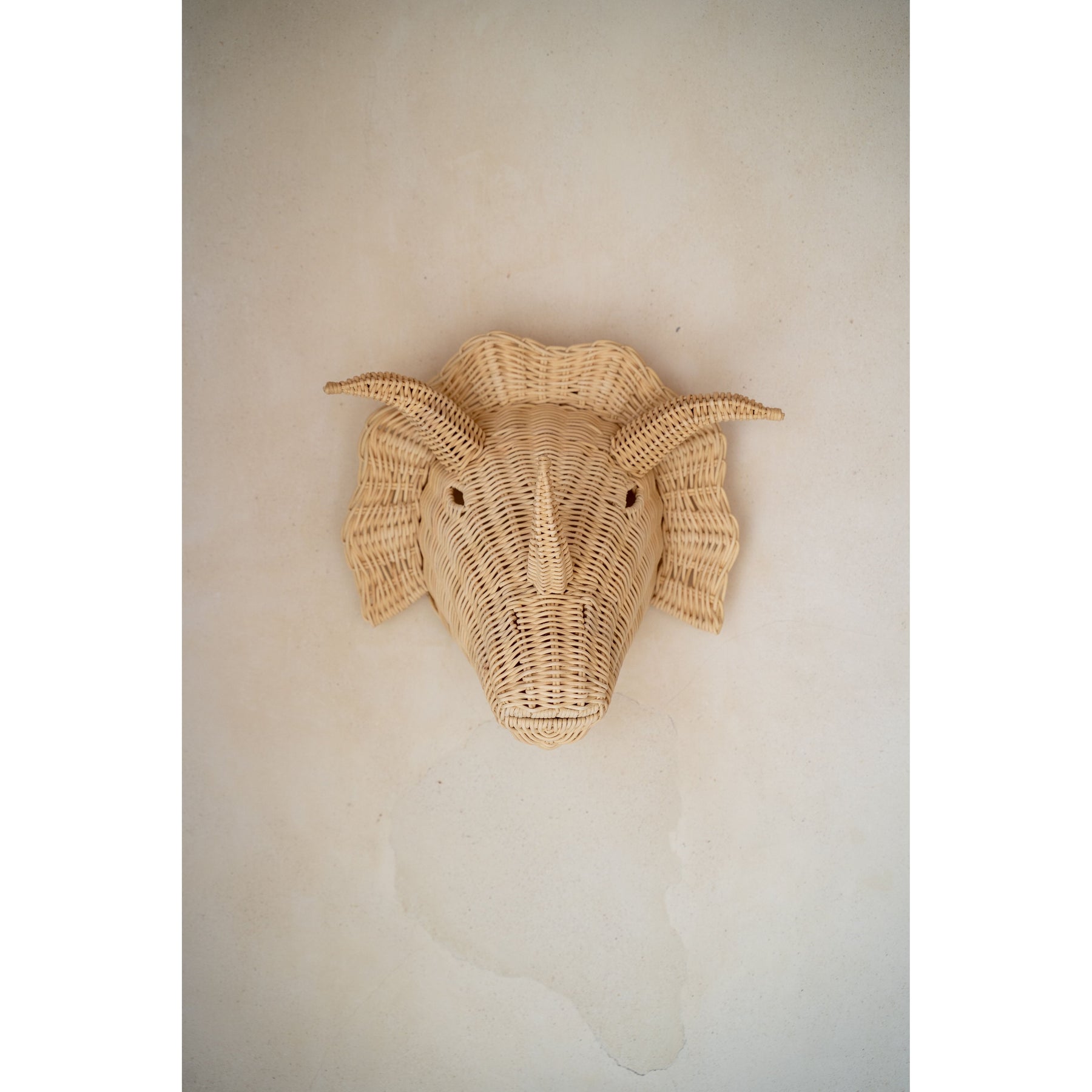 Triceratops Rattan Wall Mask | Dinosaur Wall Decor for Kids | Collectiviste