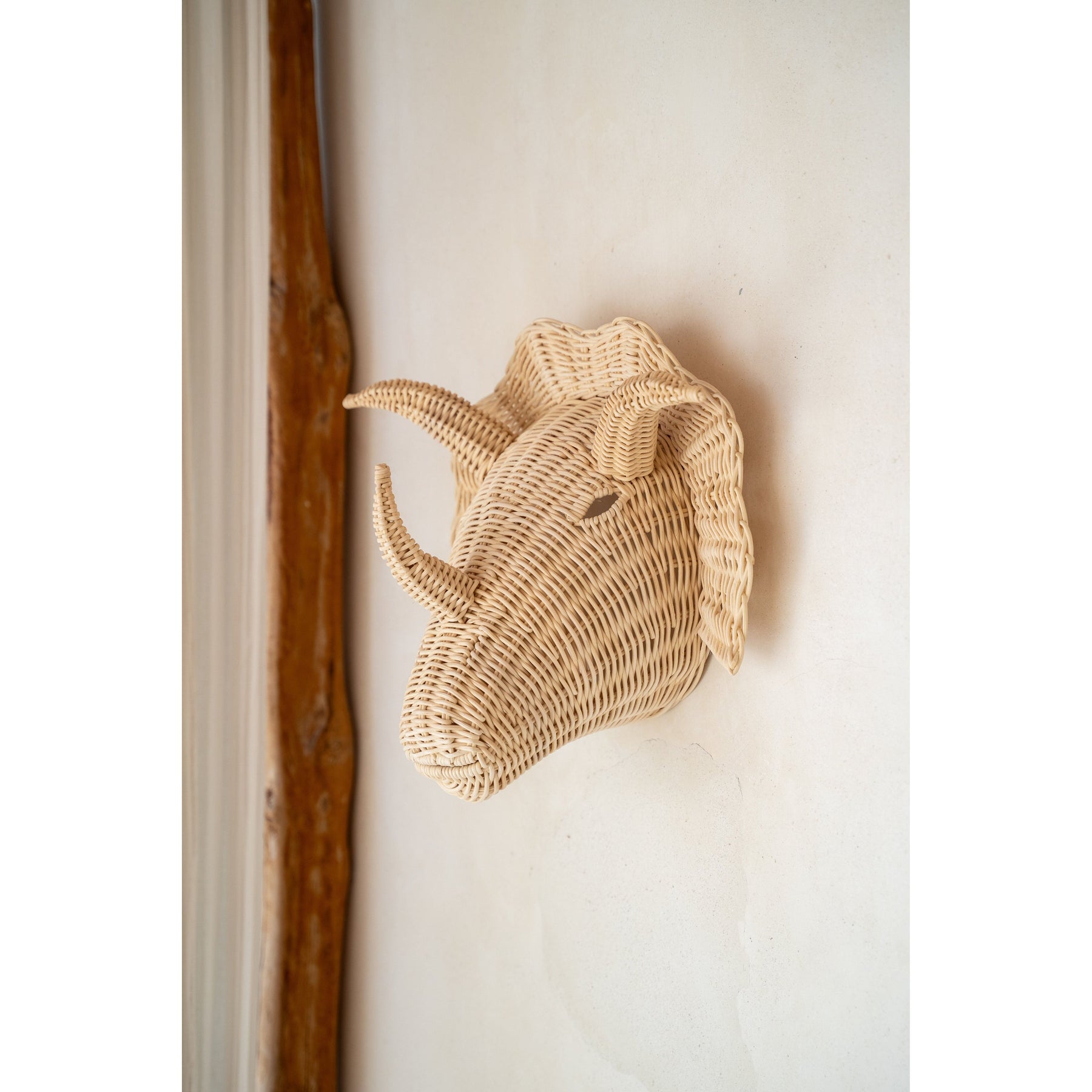 Triceratops Rattan Wall Mask | Dinosaur Wall Decor for Kids | Collectiviste