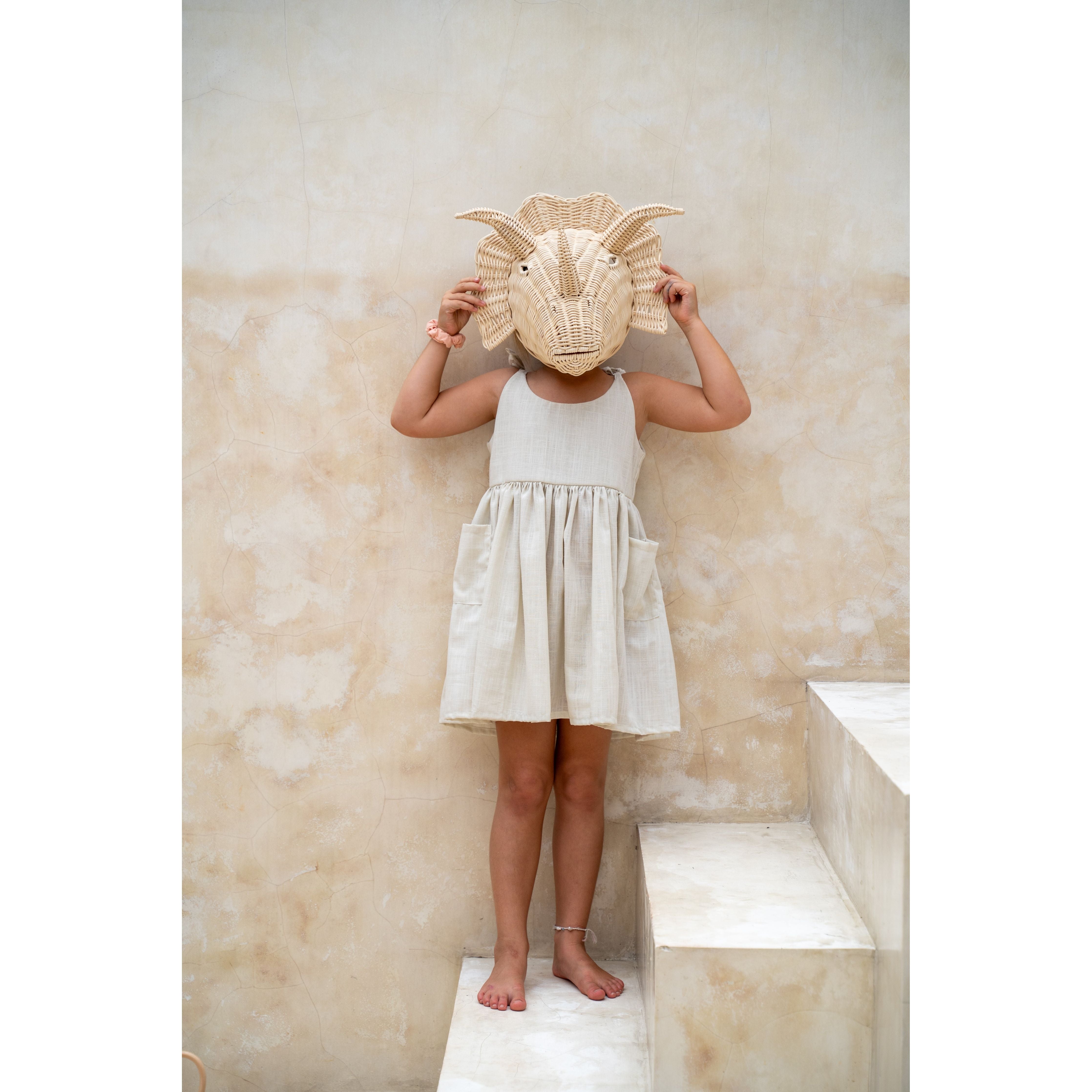 Triceratops Rattan Wall Mask | Dinosaur Wall Decor for Kids | Collectiviste